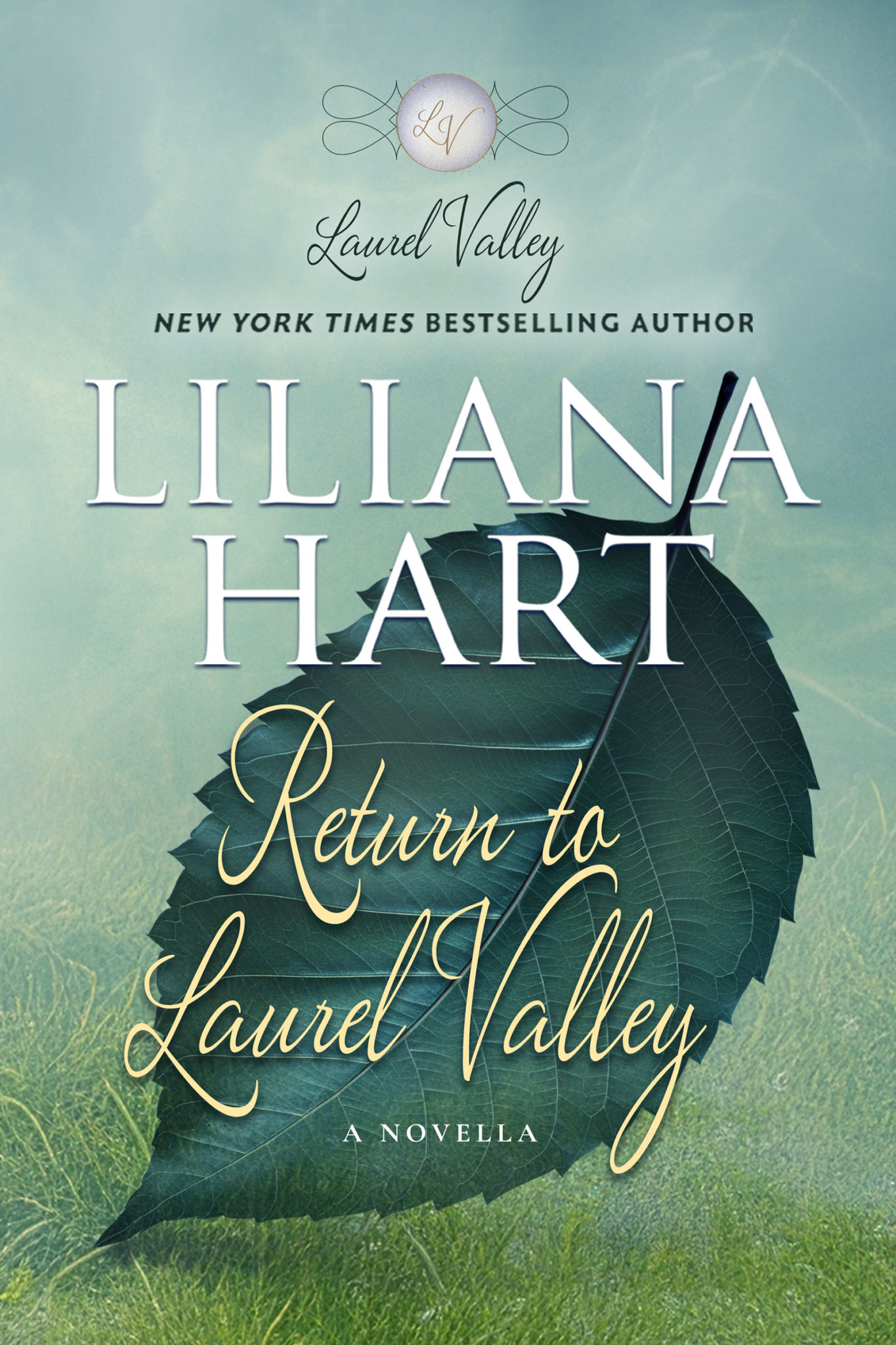 Books Archive - Liliana Hart